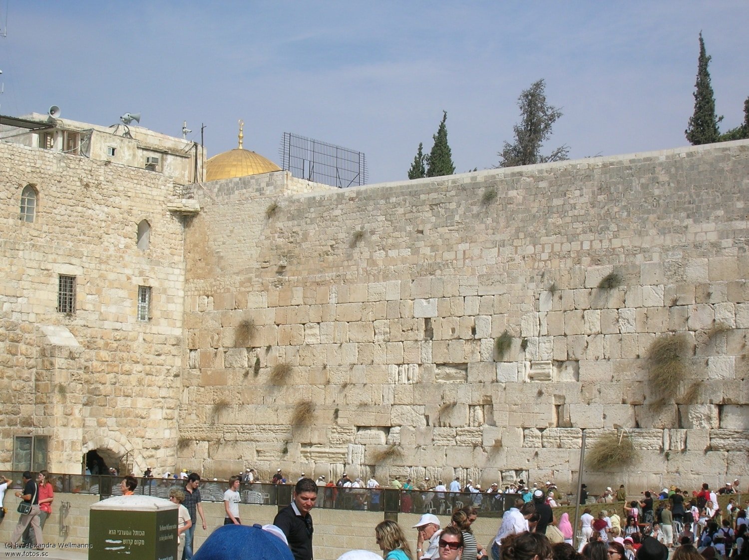 Fighting back against the Israel Lobby | VT Foreign Policy